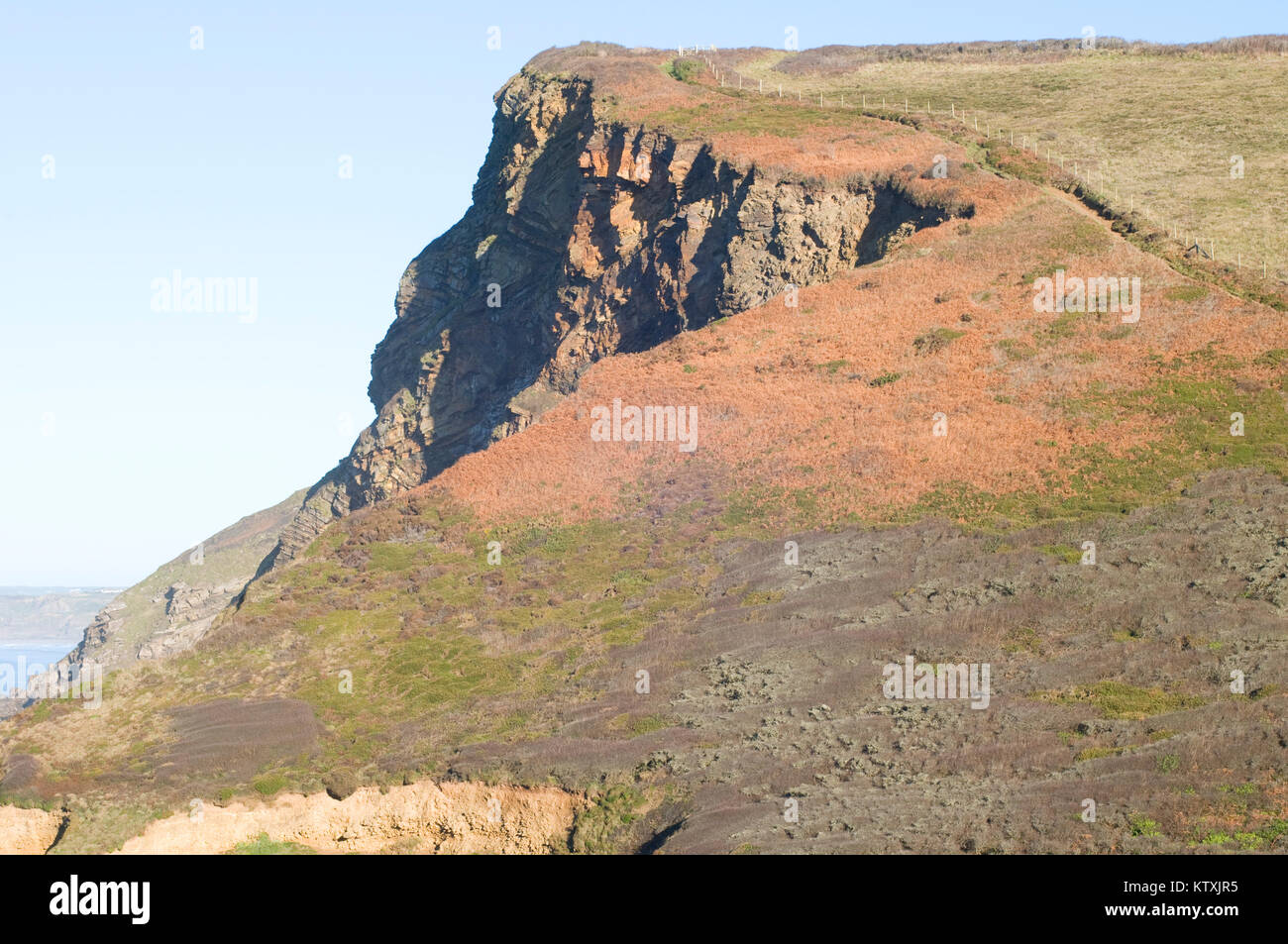 North Devon Coastal headland - Millook Stock Photo - Alamy