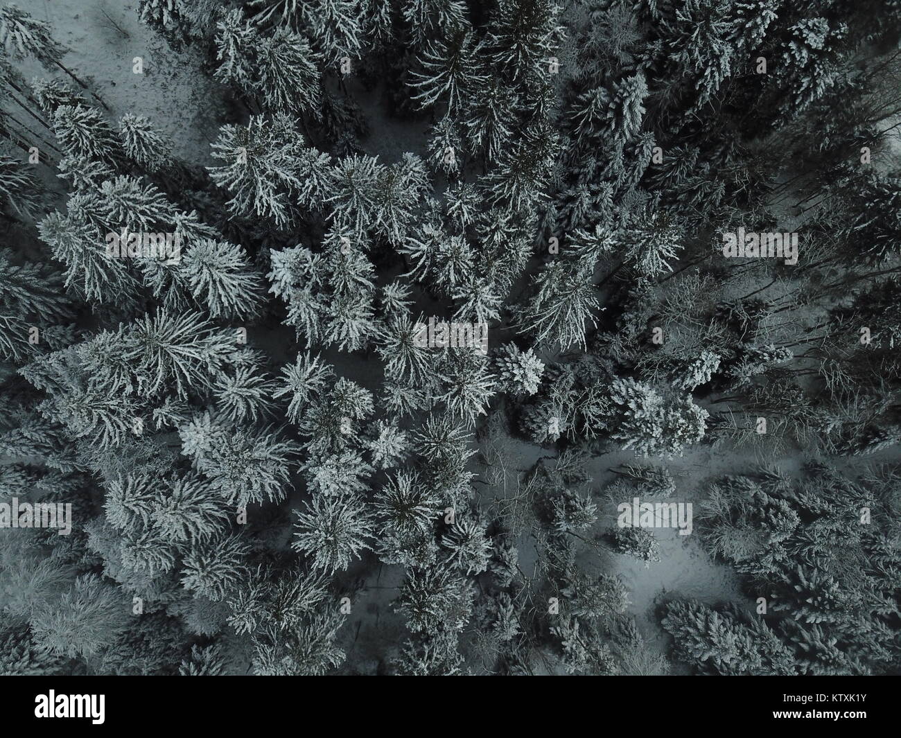 Trees from drone hi-res stock photography and images - Alamy