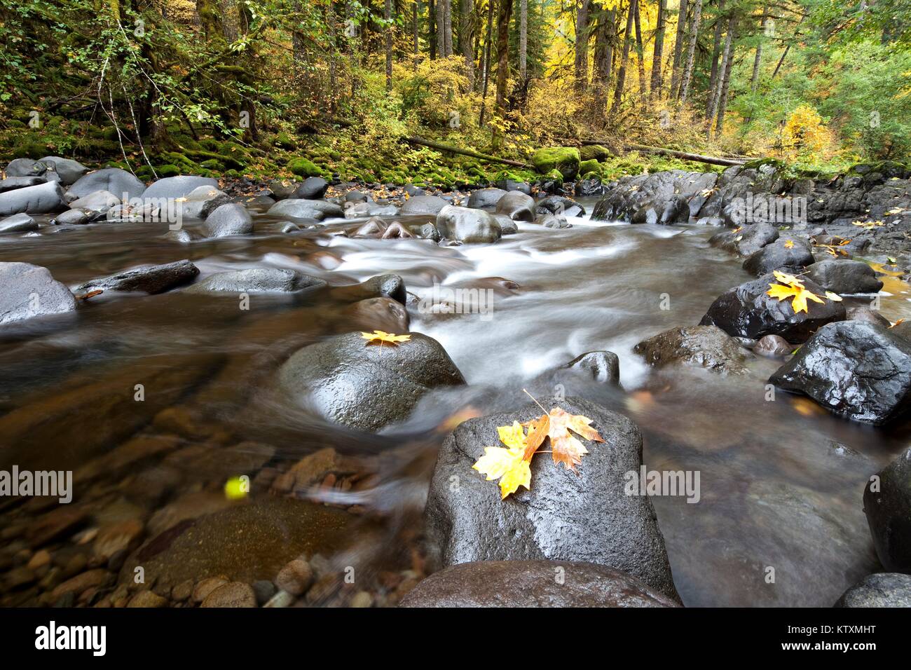 Water flows down the Molalla River at the Molalla River Recreation Area ...