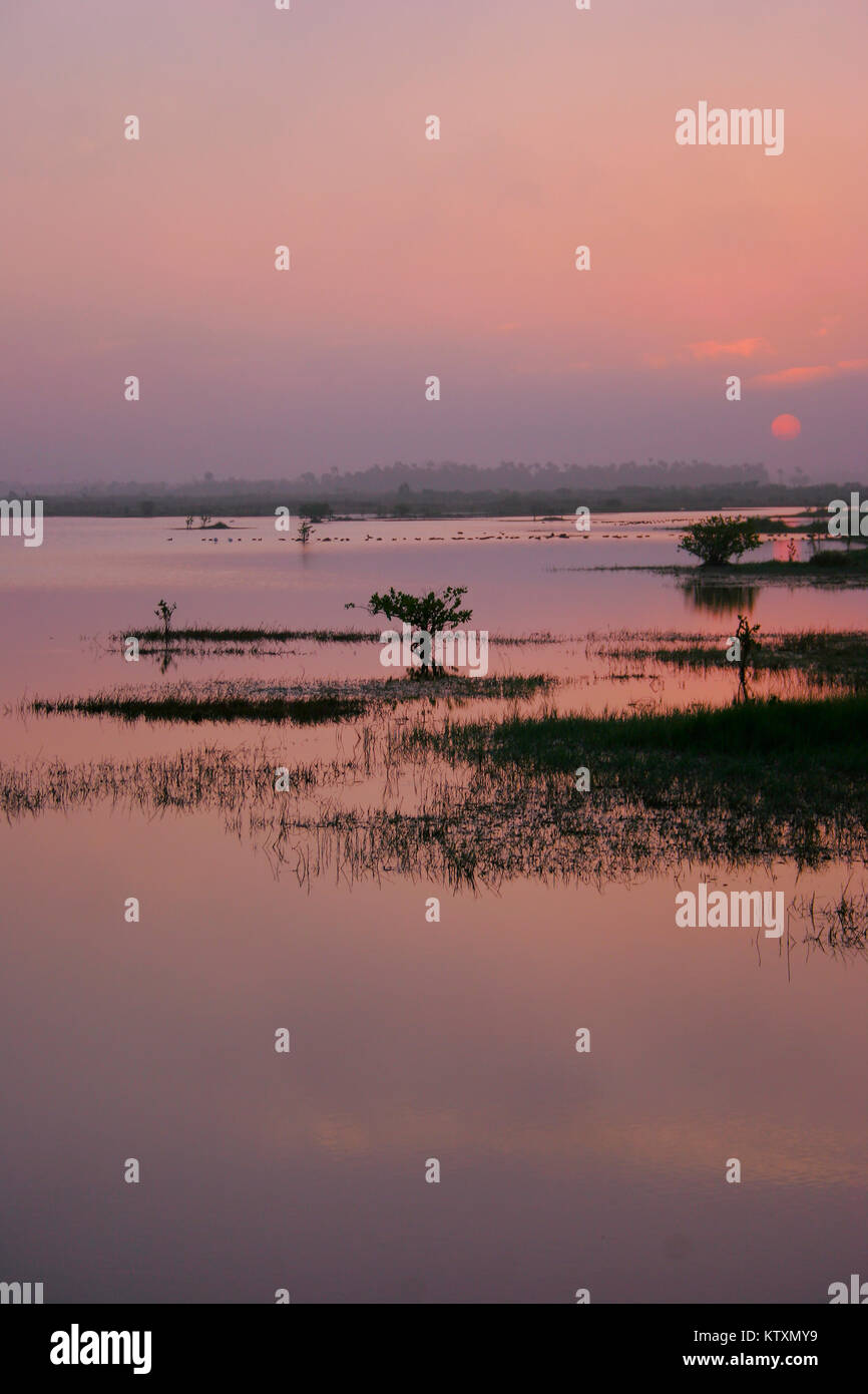 Merritt Island National Wildlife Refuge, Florida Stock Photo - Alamy