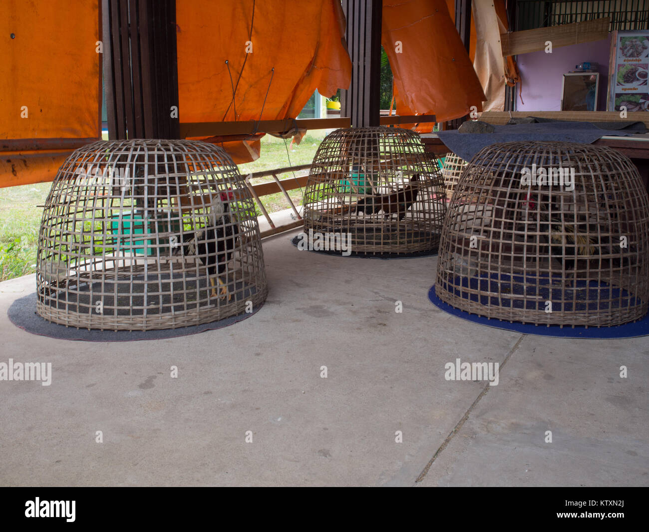 Chicken cages hi-res stock photography and images - Alamy