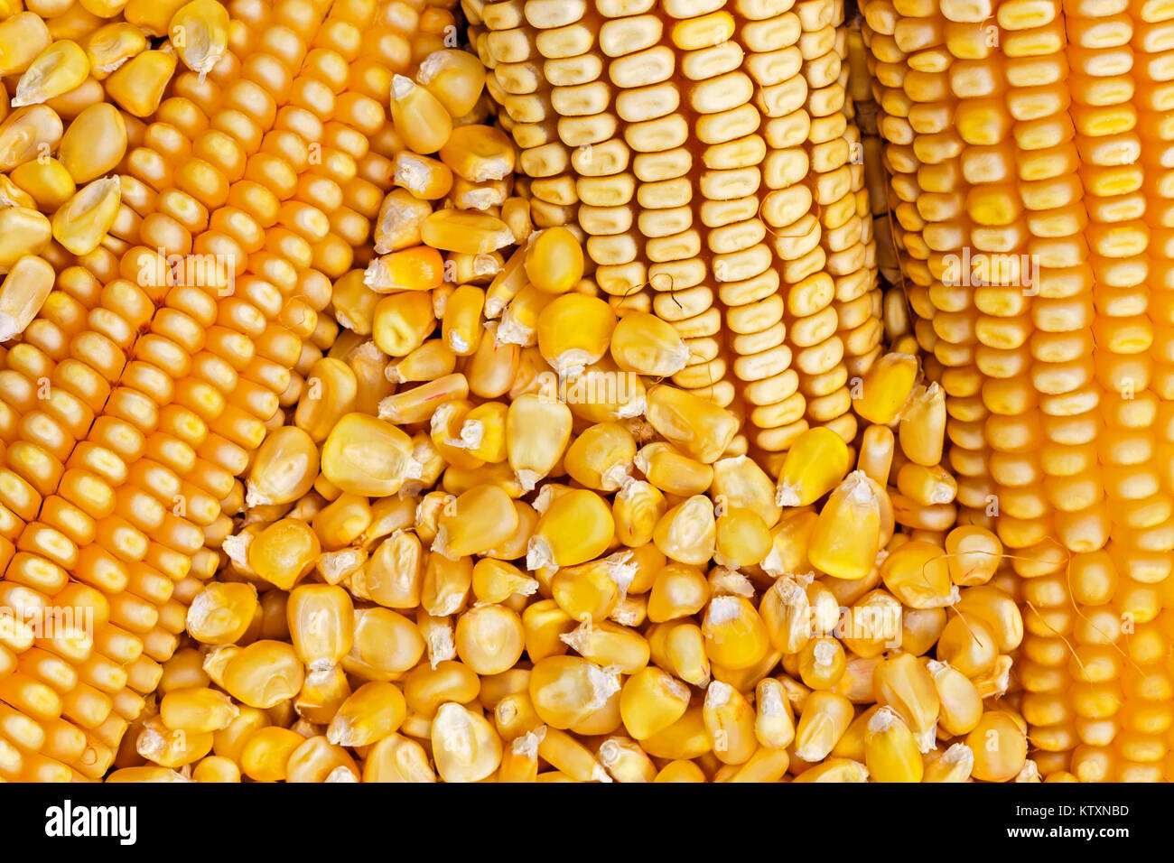 Corn field texture hi-res stock photography and images - Alamy