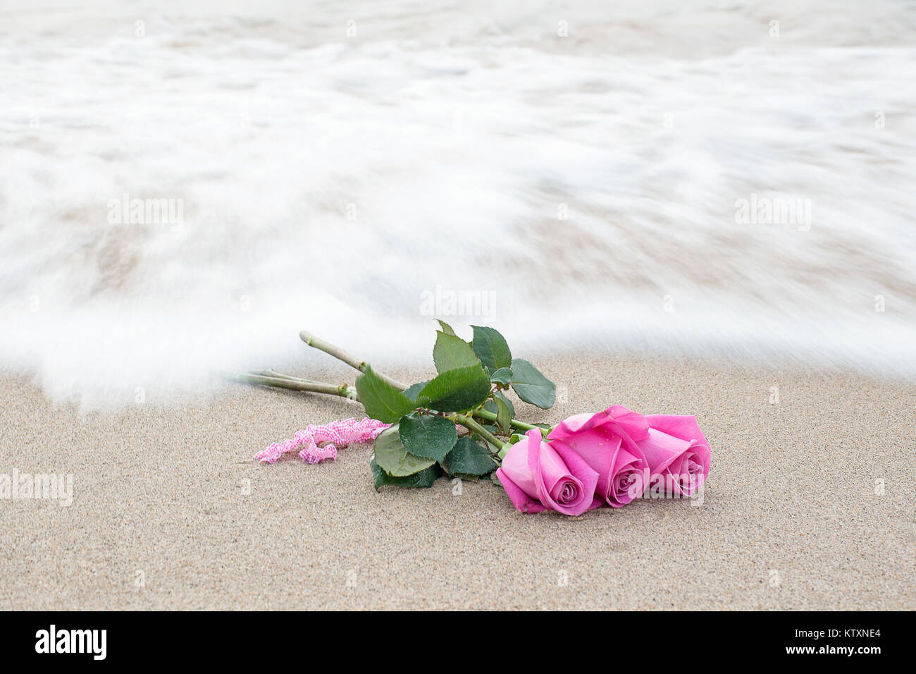 pink roses on a sandy seashore with wave spray Stock Photo - Alamy