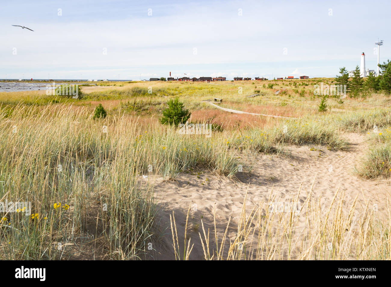 Hailuoto hi-res stock photography and images - Alamy