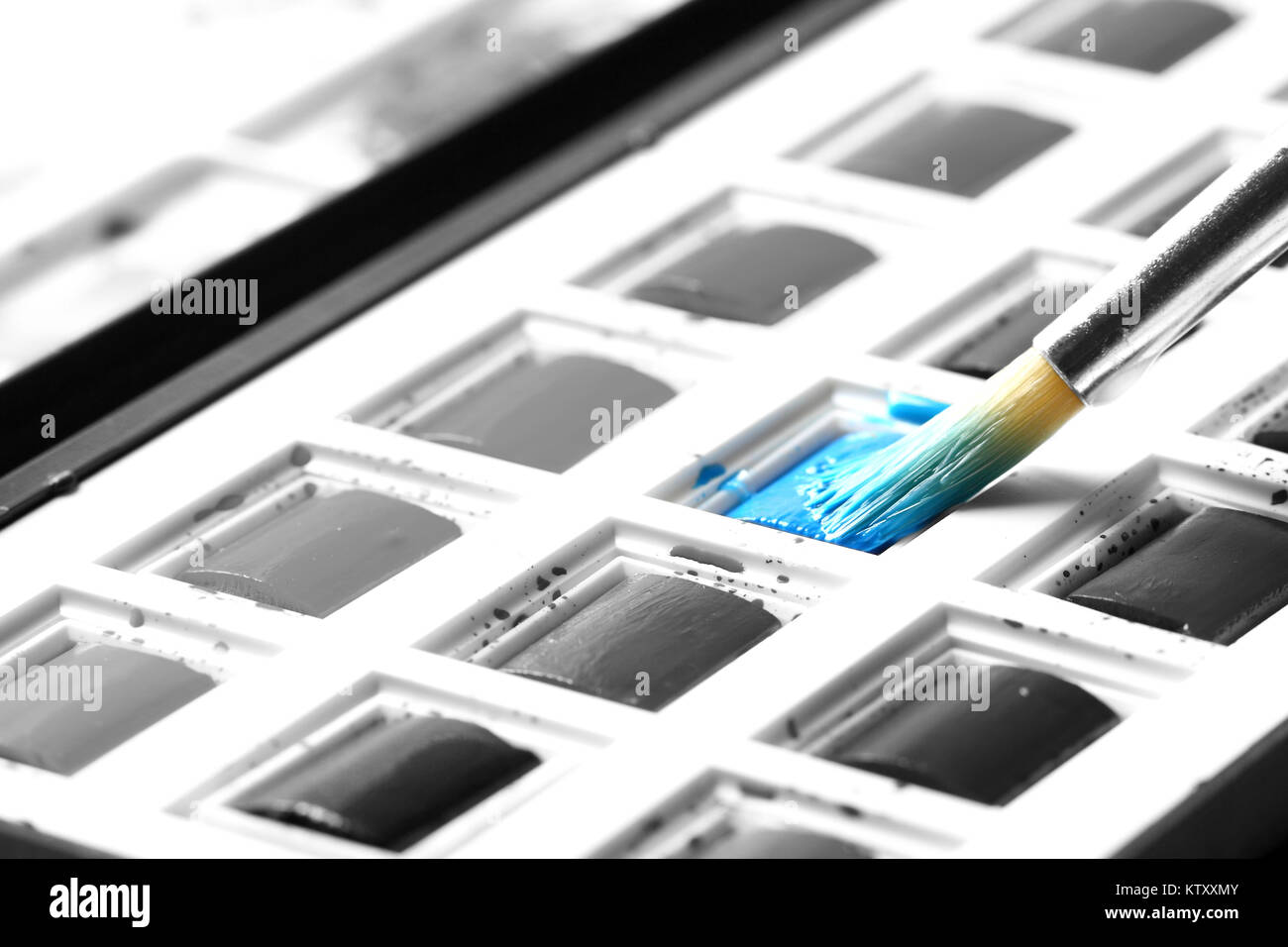 Selective Colour Selective Color High Resolution Stock Photography and ...