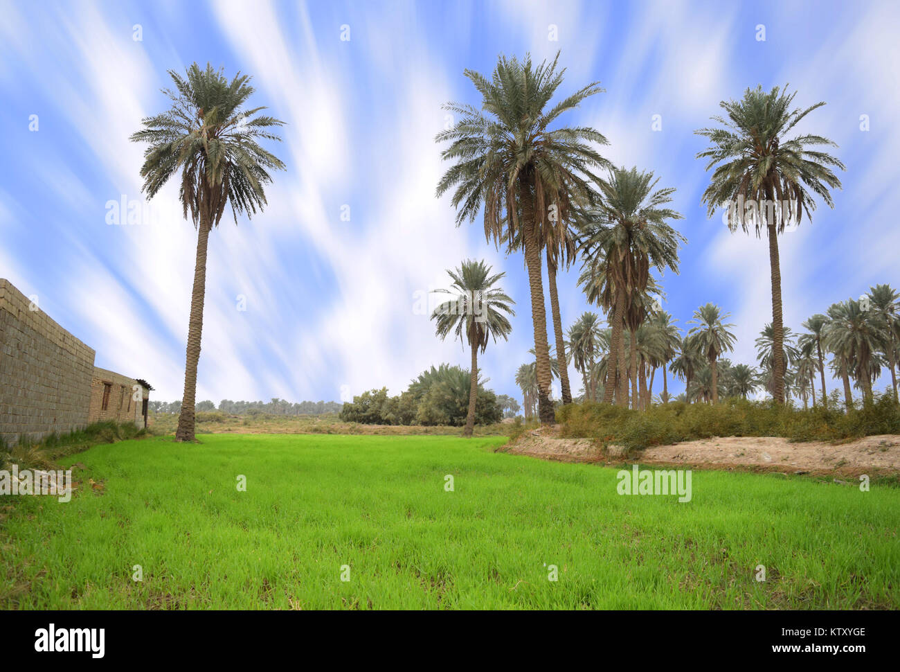 Iraq countryside hi-res stock photography and images - Alamy