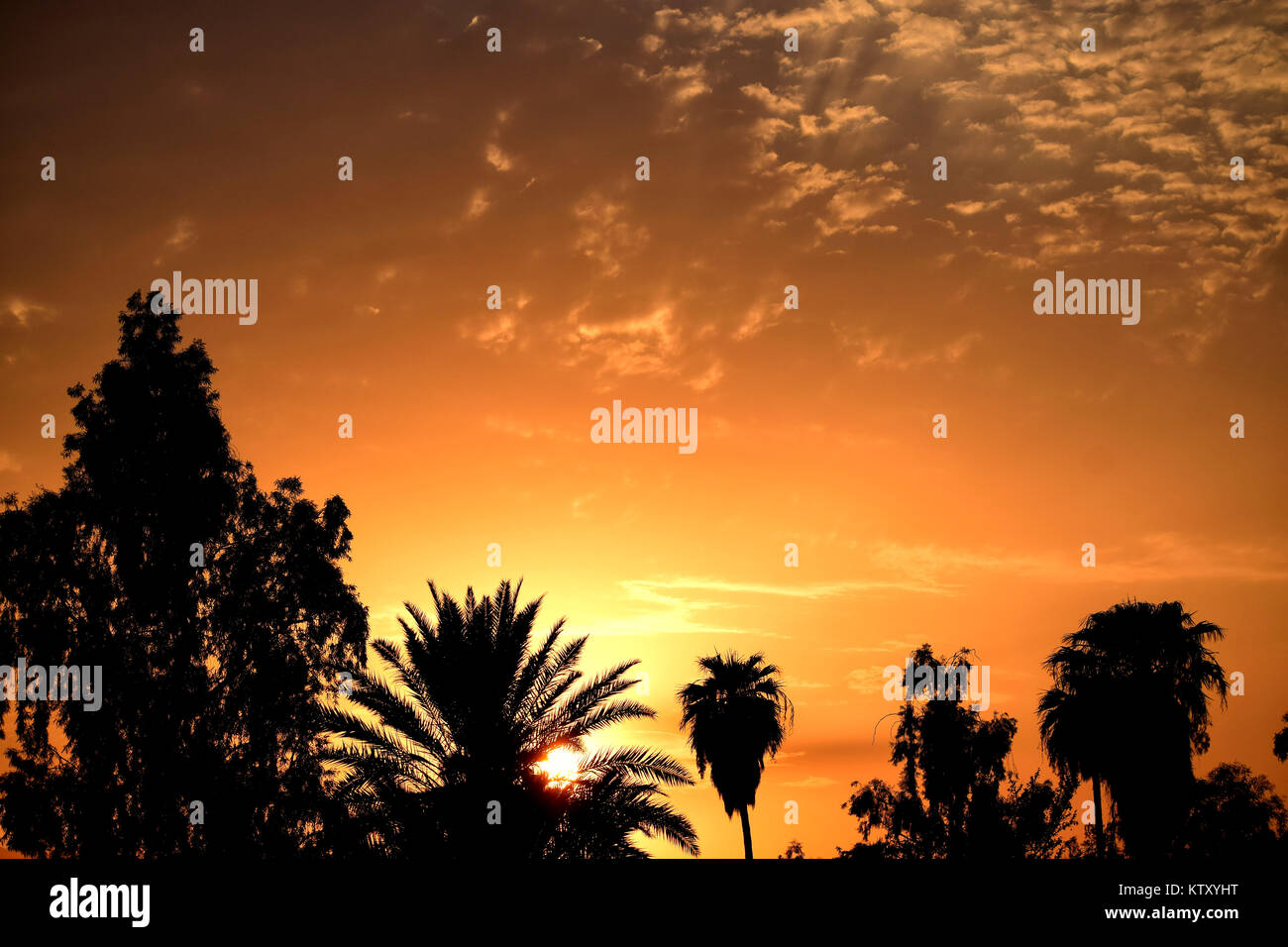Black and sunset hi-res stock photography and images - Alamy