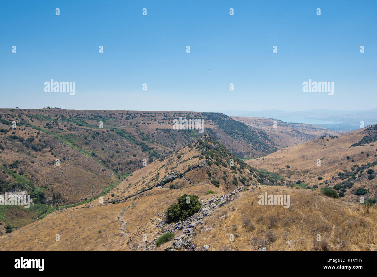 View of the acropolis of ancient Gamla from the 'ancient trail' at the ...