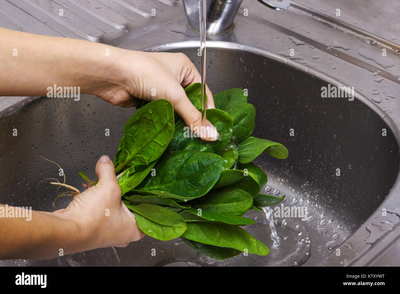 Woman washing spinach in sink. the girl is washing the spinach Stock ...
