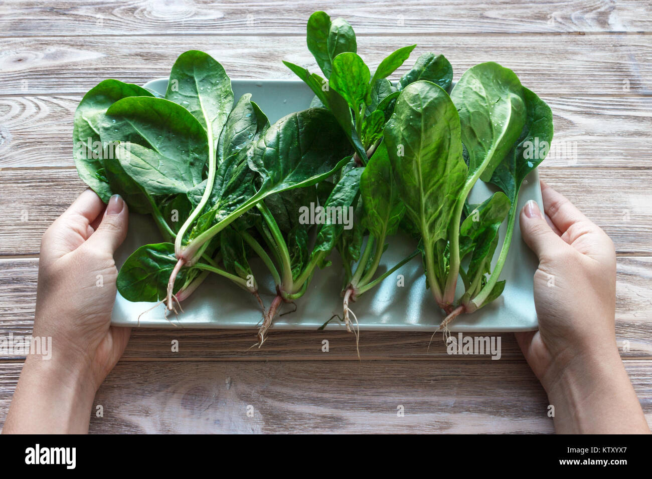 Spinach hi-res stock photography and images - Alamy