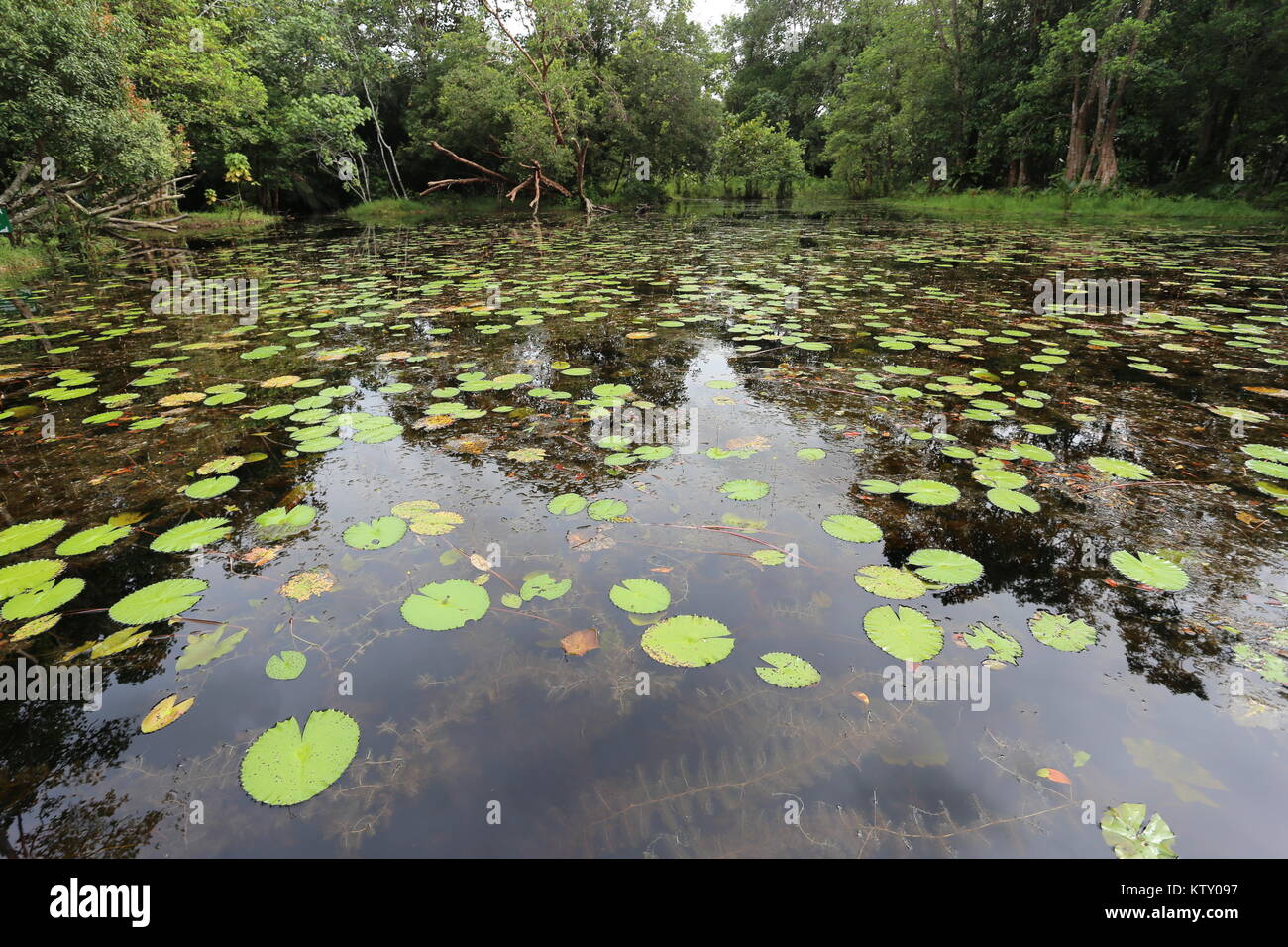 Sungai kolok hi-res stock photography and images - Alamy