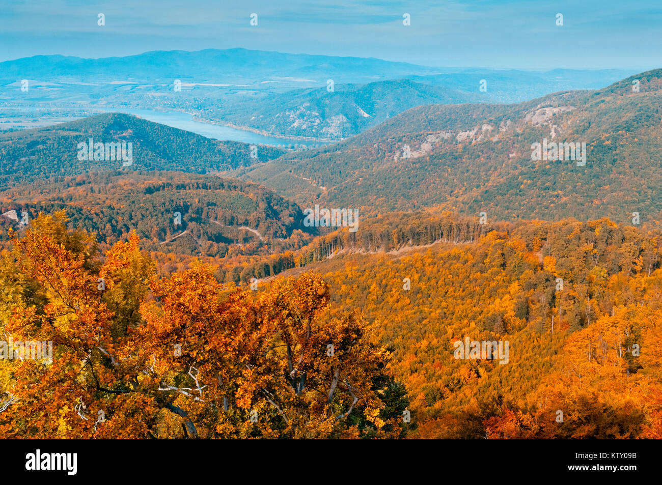 Fall forest hi-res stock photography and images - Alamy