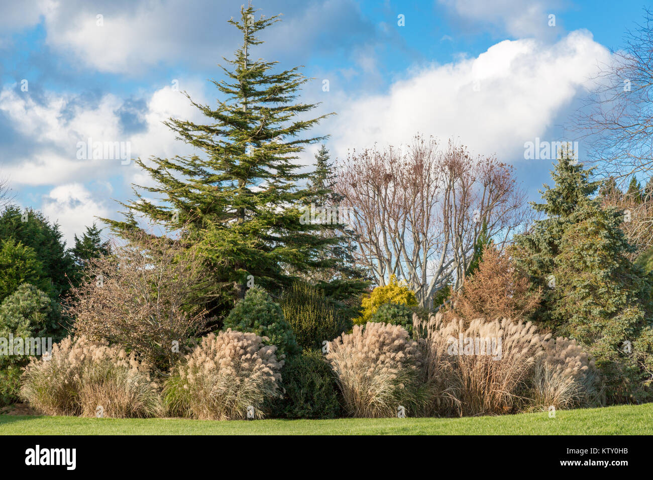 Flowers in the hamptons hi-res stock photography and images - Alamy