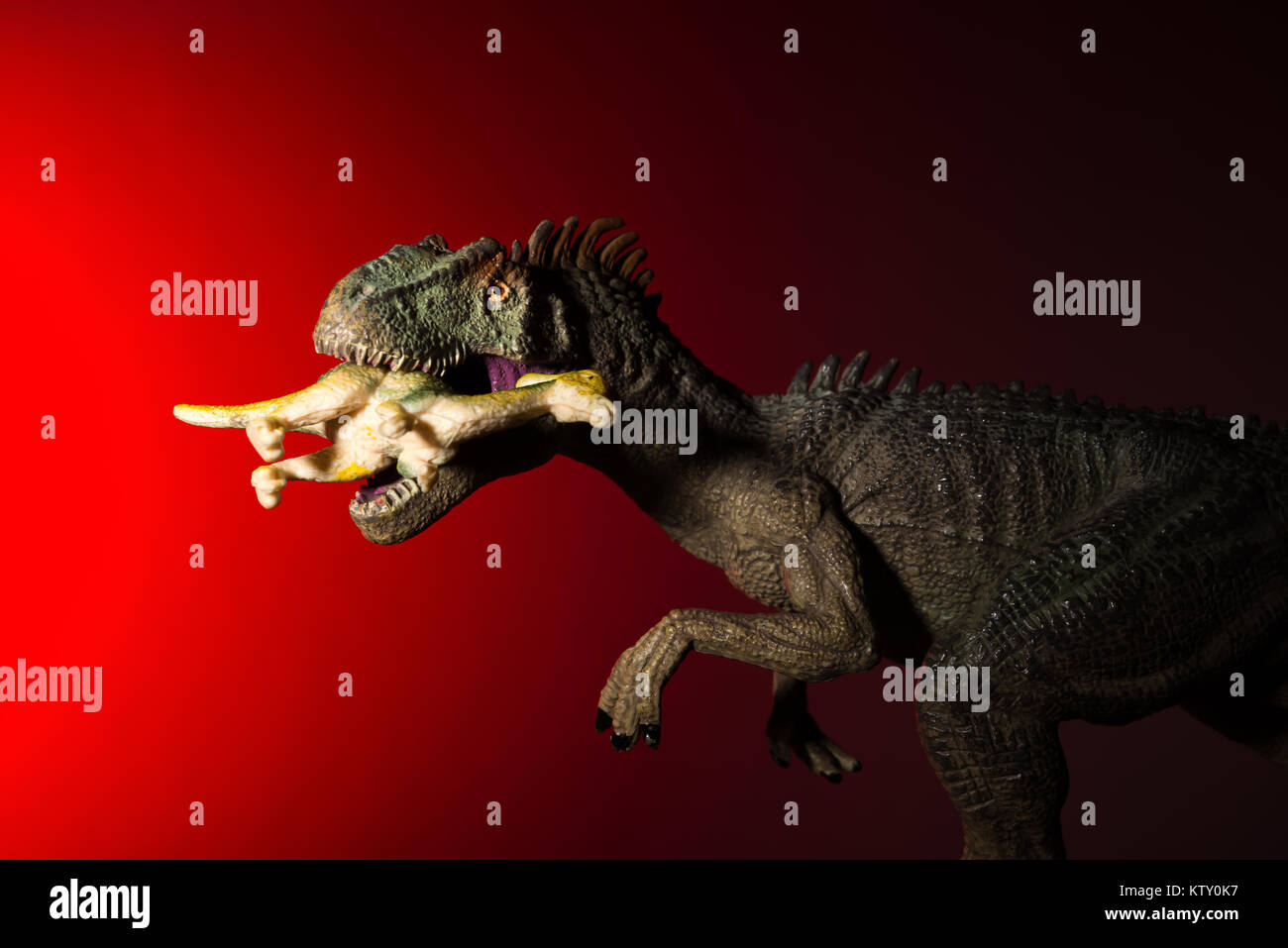 Allosaurus eating hi-res stock photography and images - Alamy