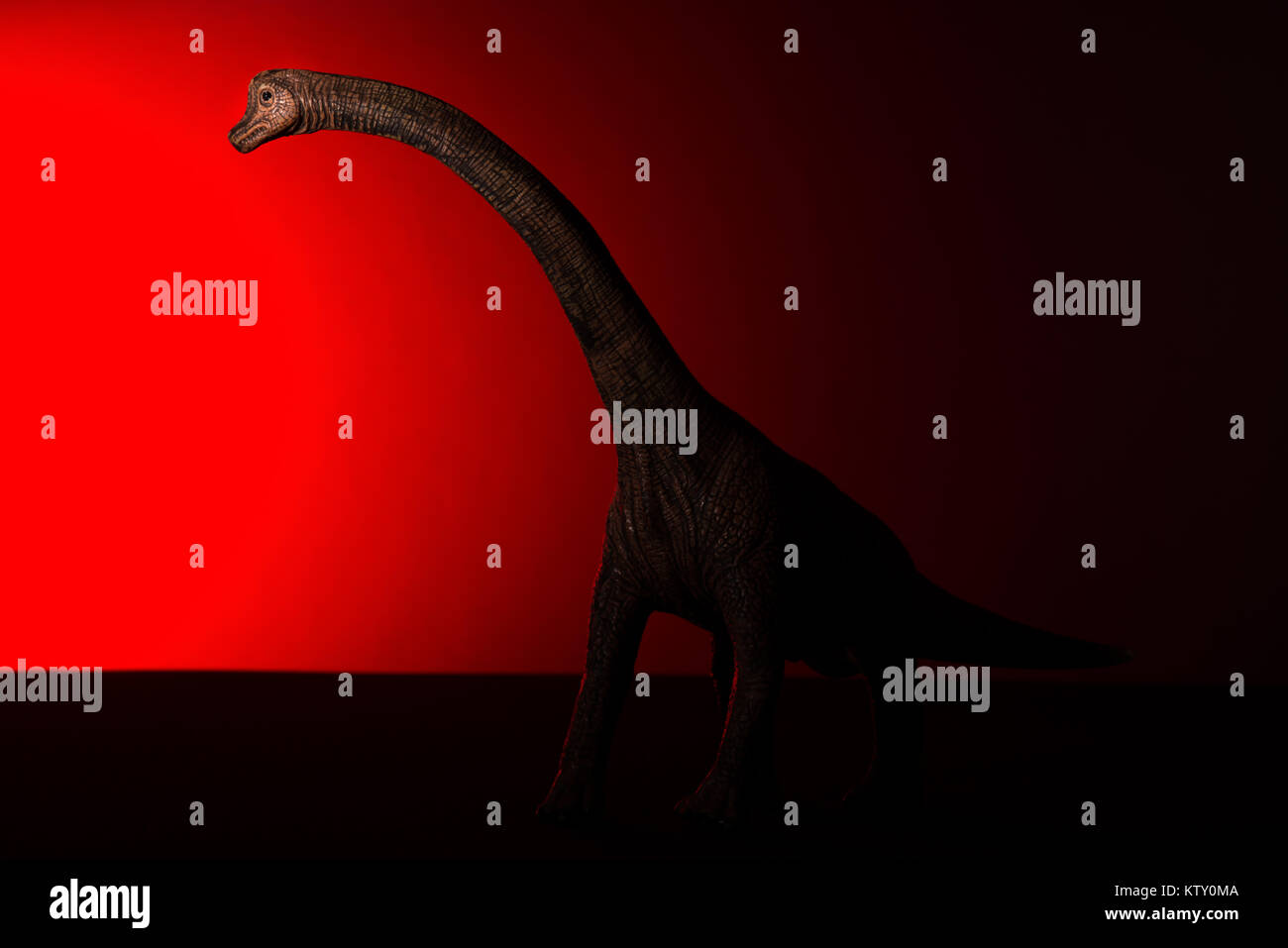 brachiosaurus with spot light on the head and red light on background ...