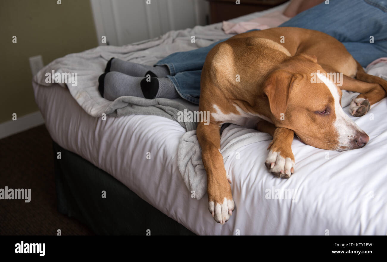 Feet hanging out bed hi-res stock photography and images - Alamy