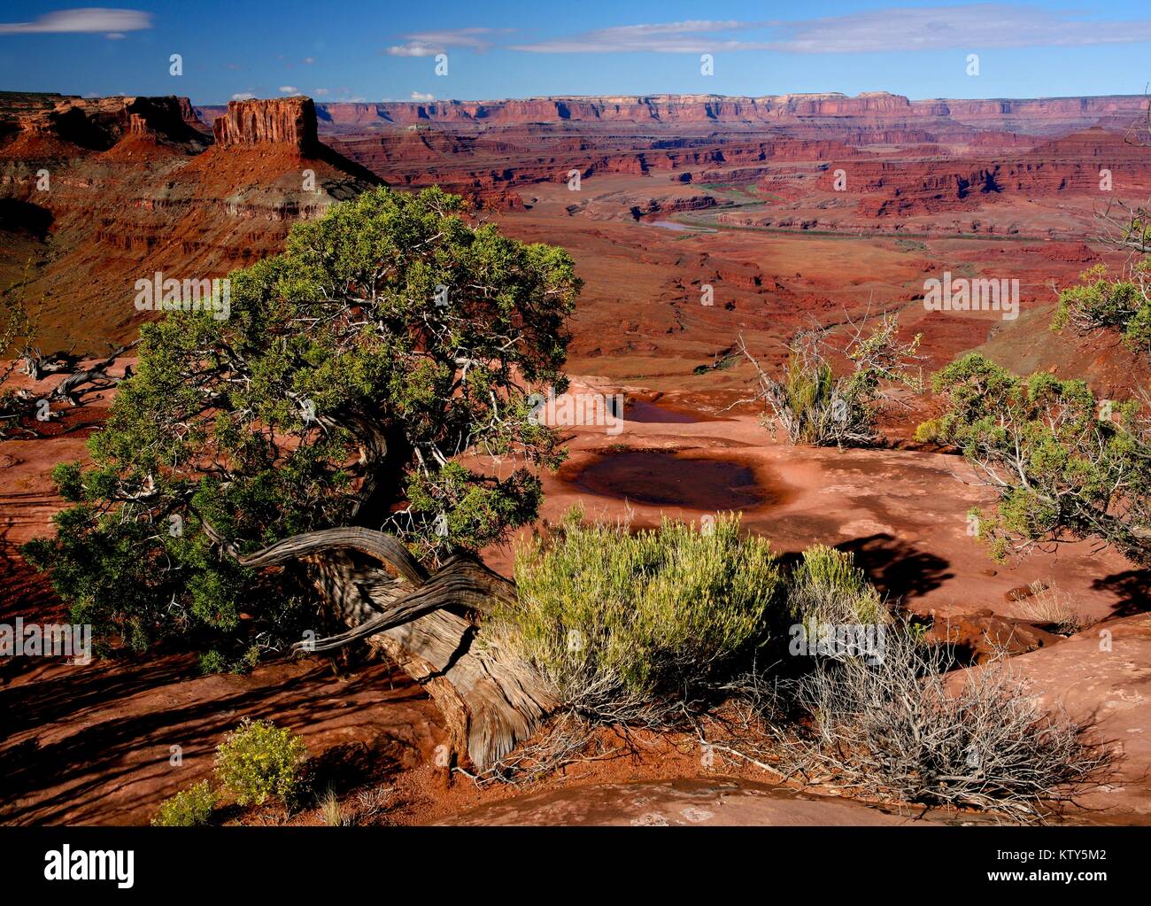 Rock canyons surround the Upper Colorado Recreational River at the ...