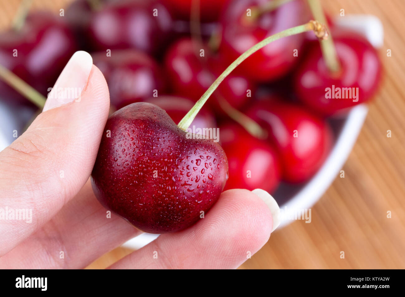 Female hand showing a cherry with a bowl of cherries in the background ...
