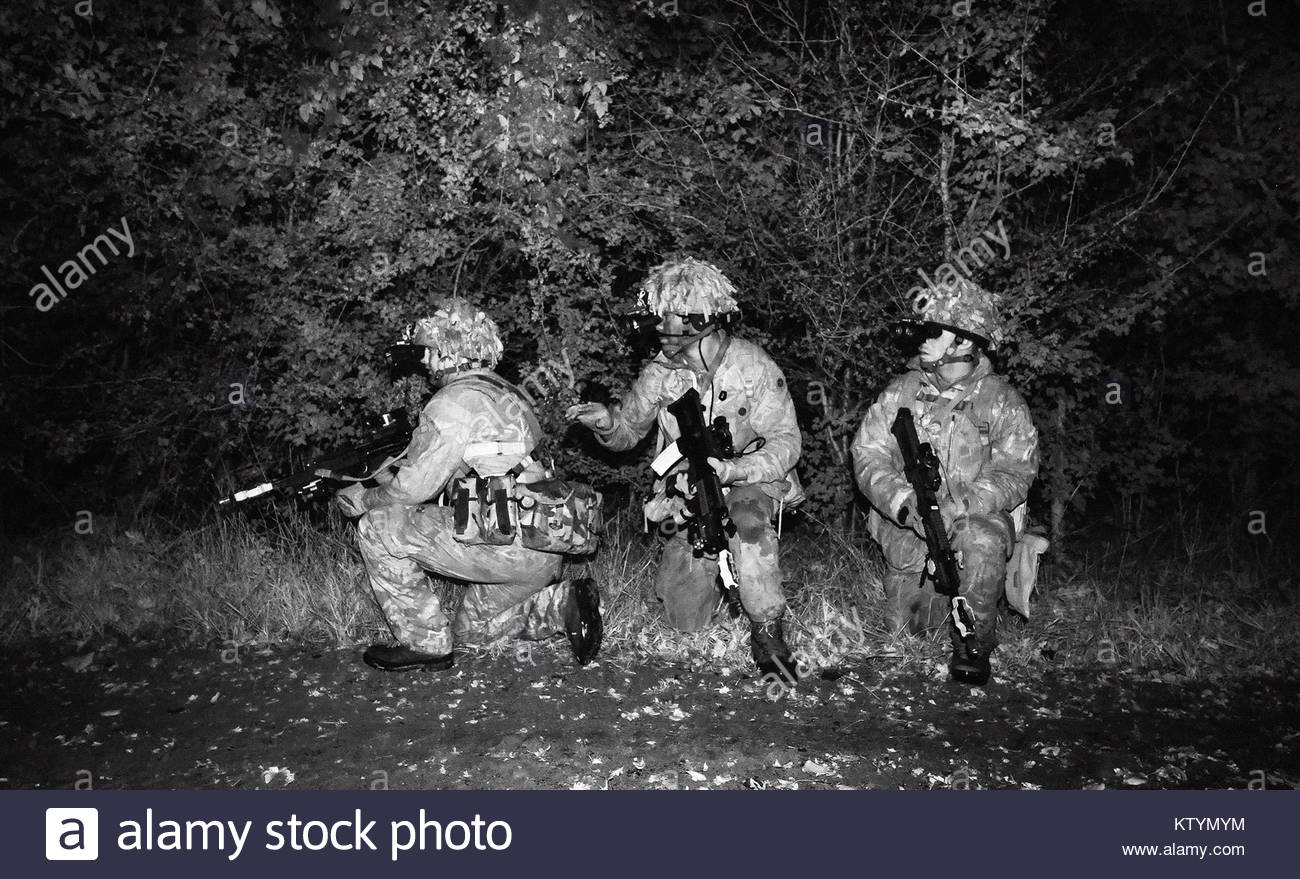 1 Squadron Raf Regiment Stock Photos & 1 Squadron Raf Regiment Stock ...