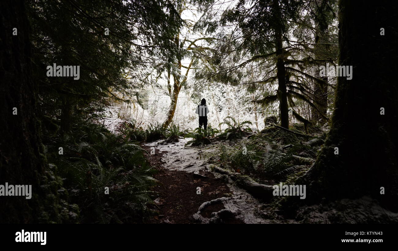 man waiting into the wild forest Stock Photo - Alamy