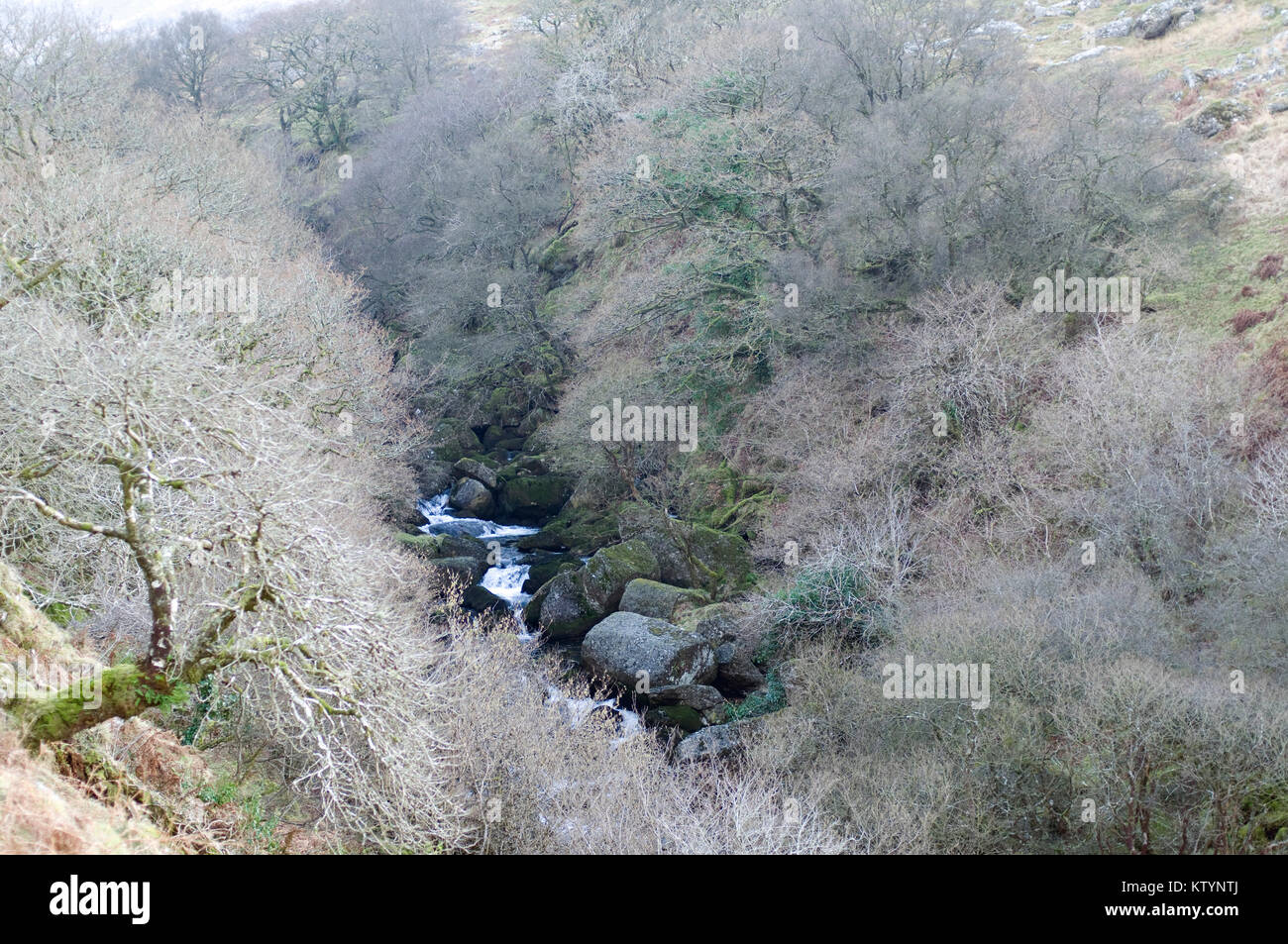 West Okement River Dartmoor Stock Photo - Alamy