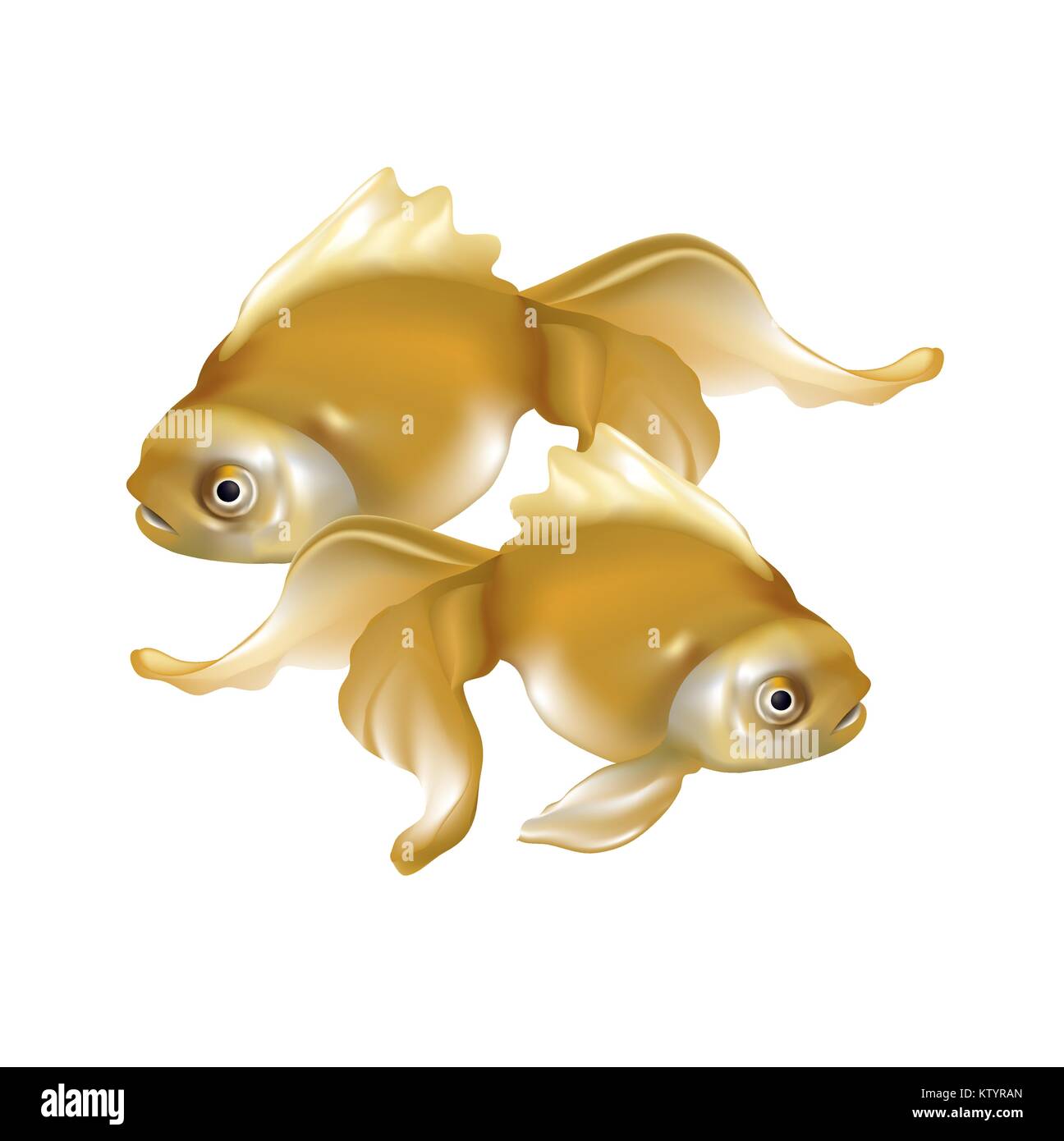 Beautiful goldfish on plain white background Stock Vector Image & Art ...