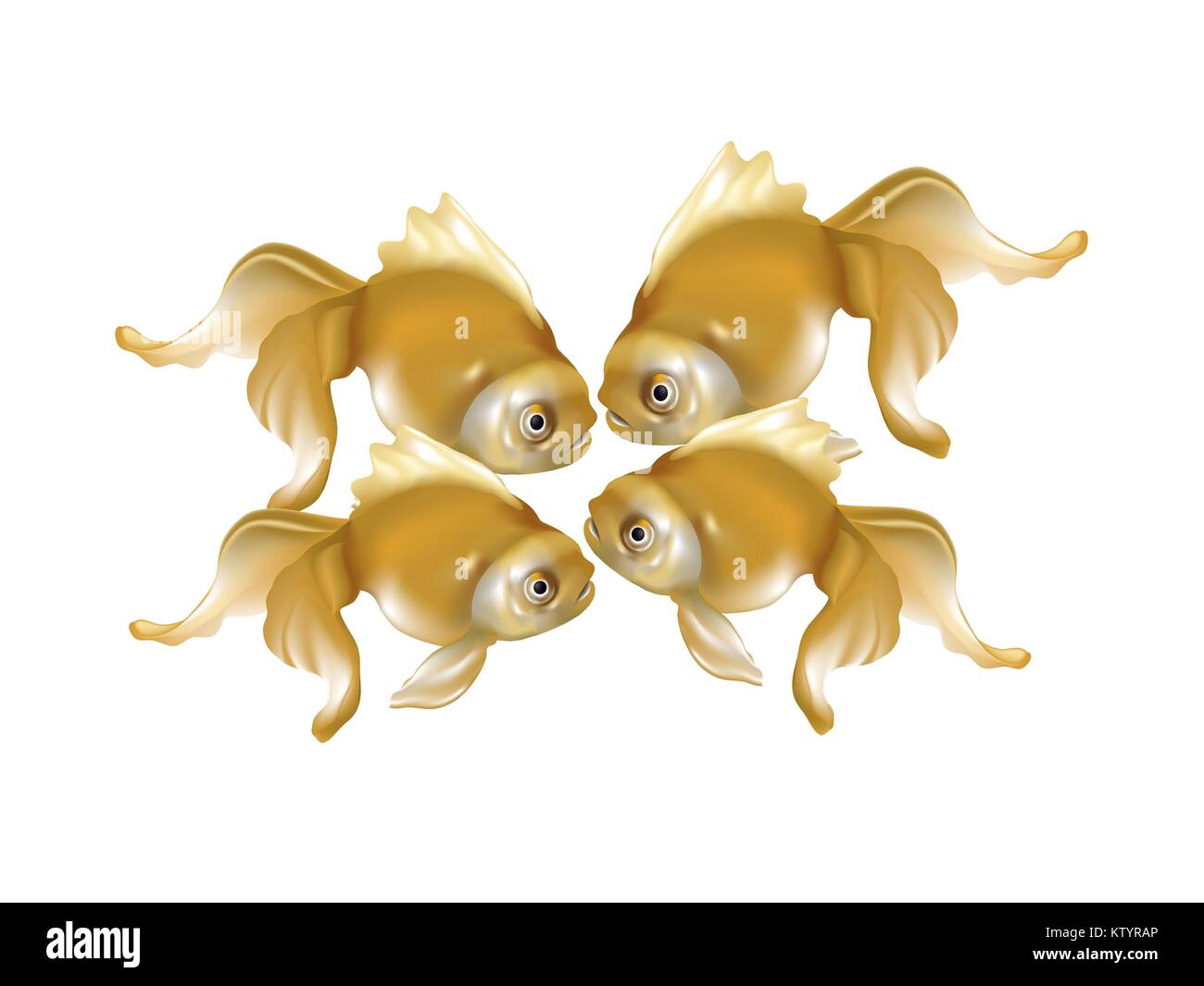 Beautiful goldfish on plain white background Stock Vector Image & Art ...