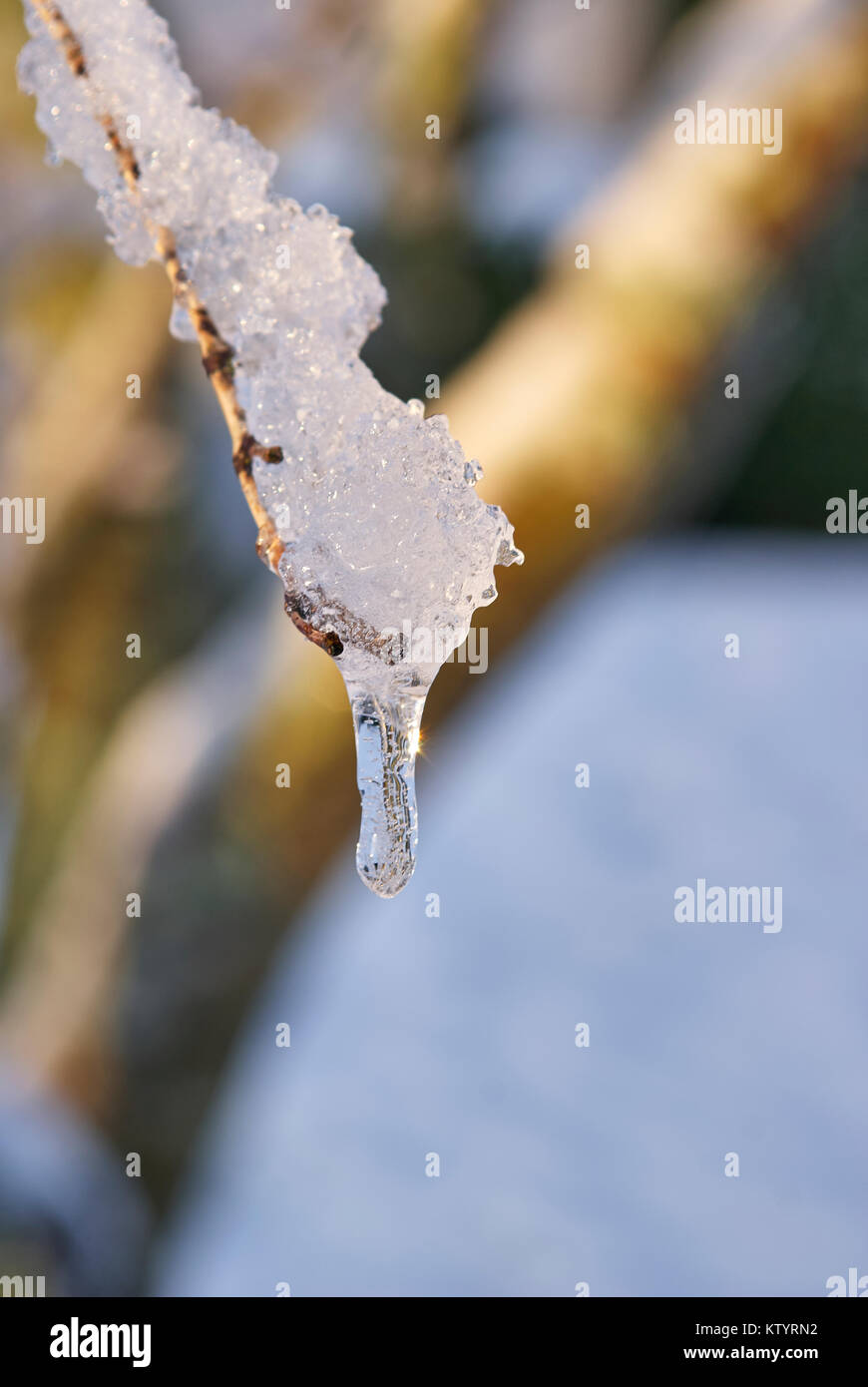images of ice and snow in winter around Issaquah in Washington State ...