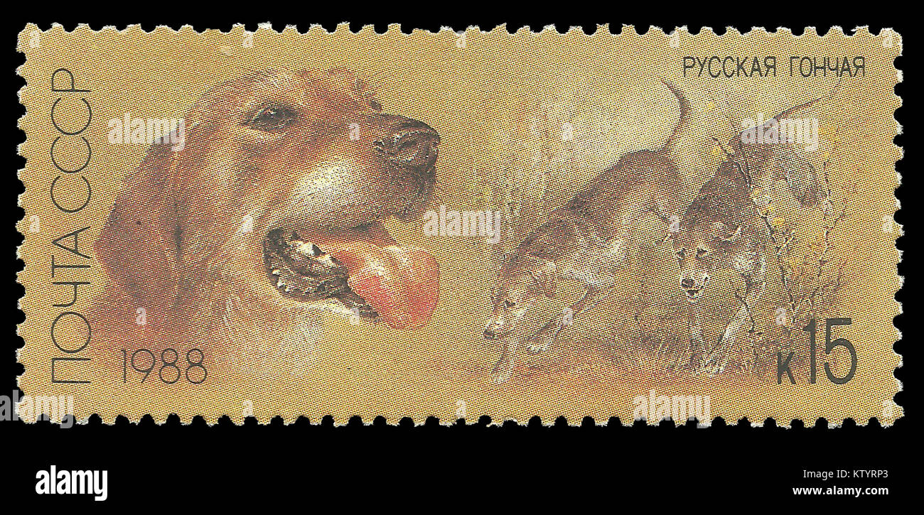 USSR - stamp printed in1988, Series Hunting dogs, Russian Hound Stock ...