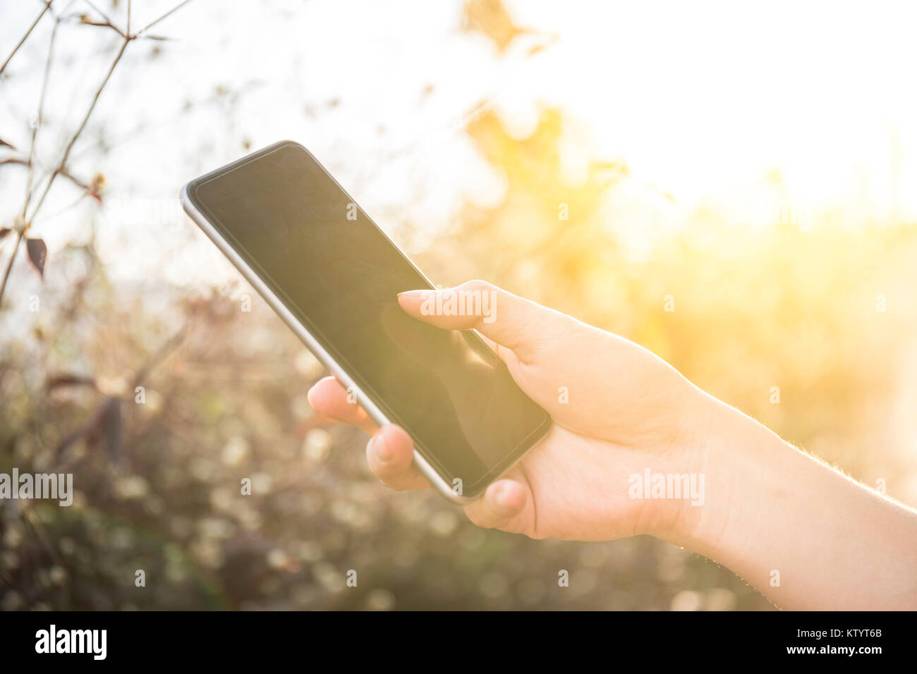 woman typing text message on smartphone with relaxed time in flower ...