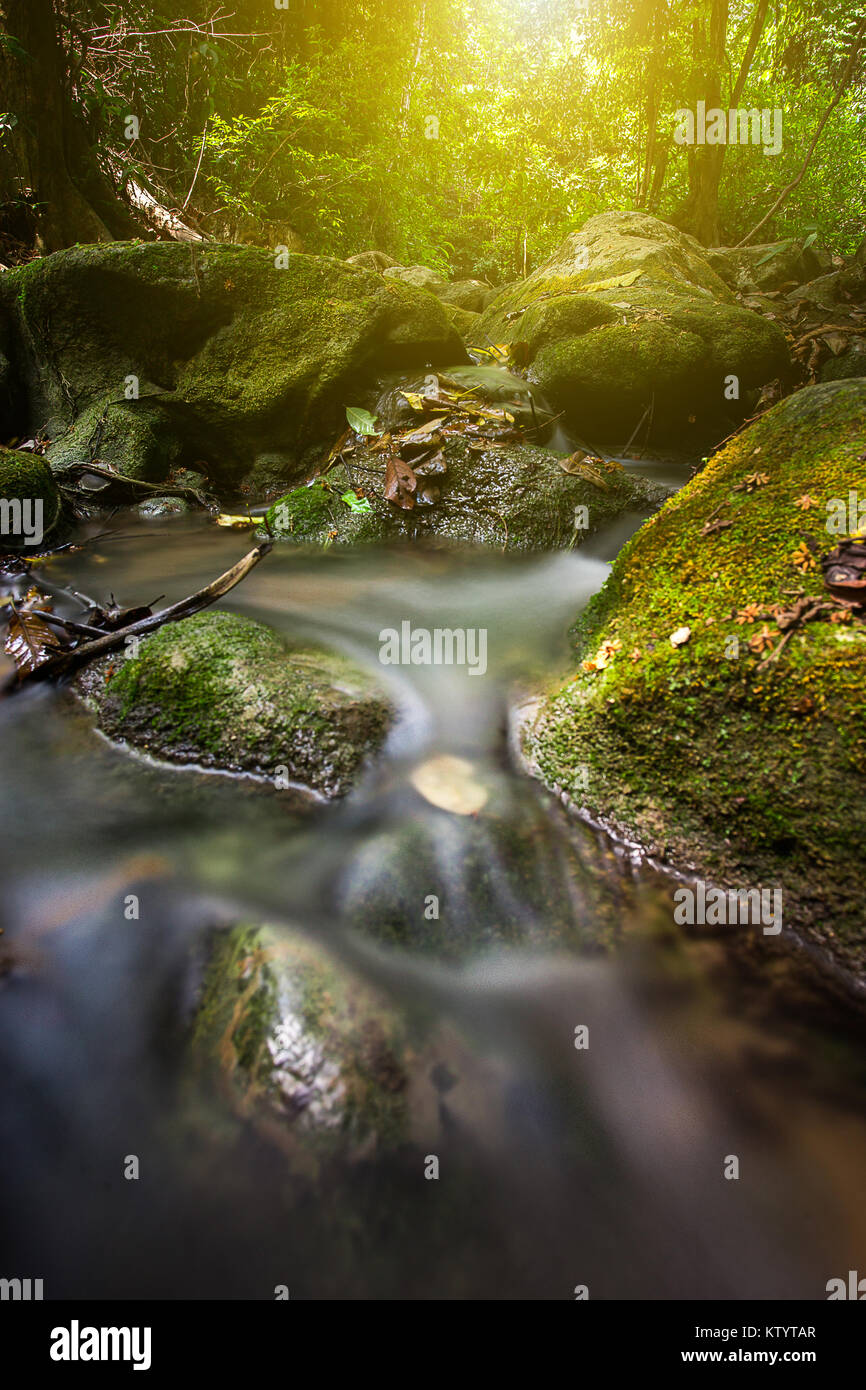 smooth water fall flow through the curve rock in deep forest of ...