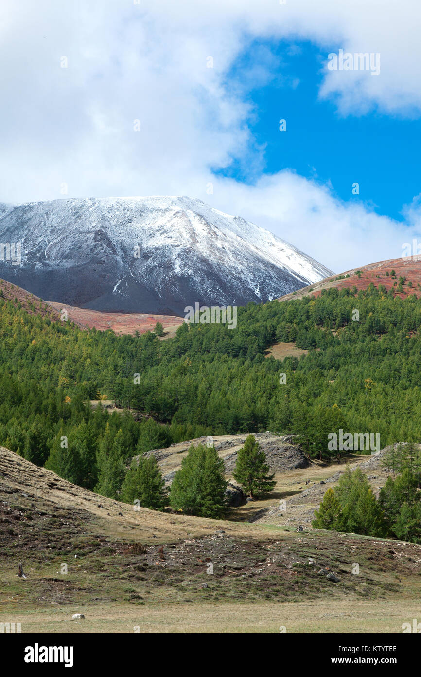 Siberian tundra taiga hi-res stock photography and images - Alamy