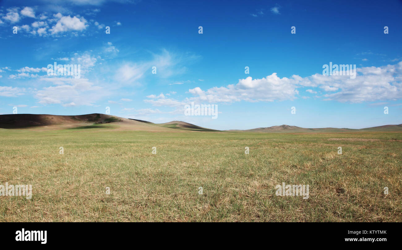 Semi desert steppes hi-res stock photography and images - Alamy