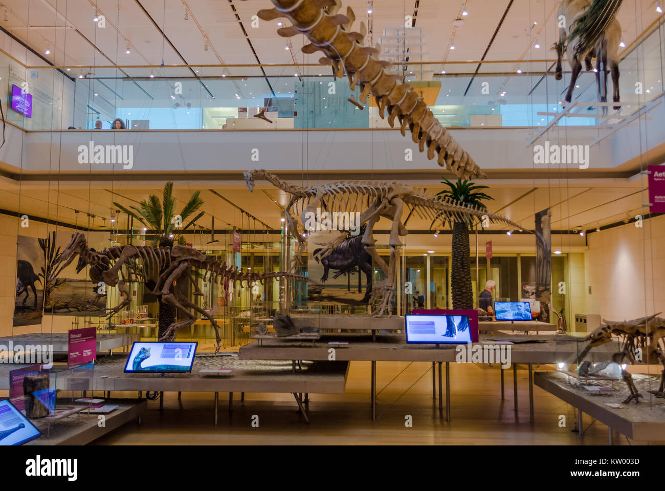 Muse - Science Museum - Trento in northern Italy - interior spaces of ...
