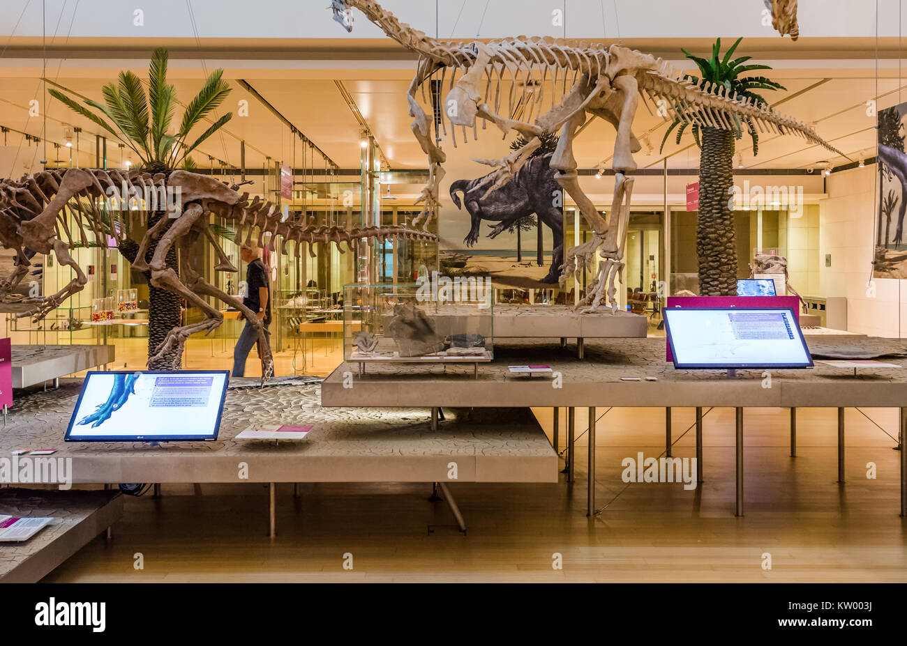 Muse - Science Museum - Trento in northern Italy - interior spaces of ...