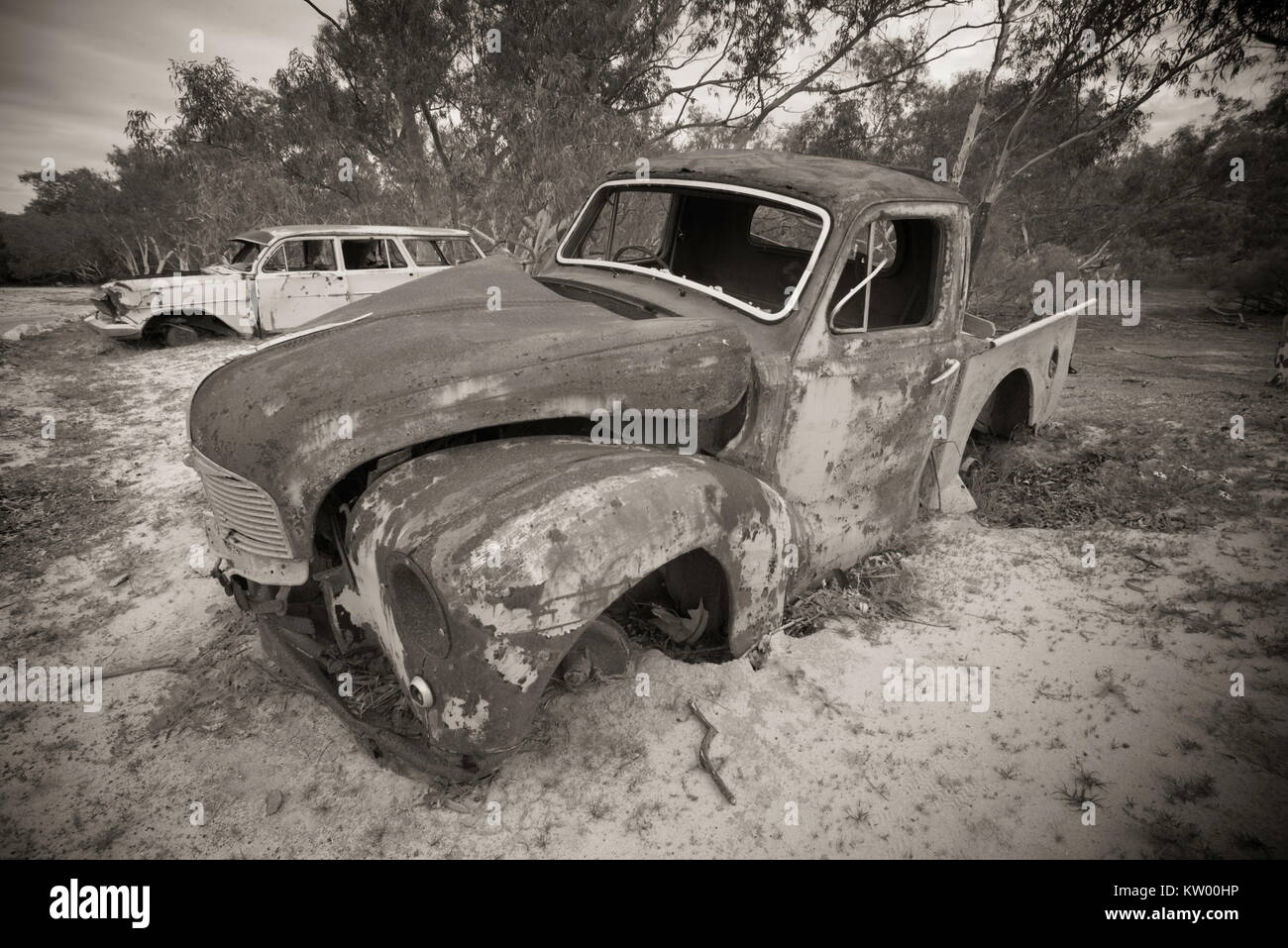 Wrecked cars, Austin A40 Ute and EH Holden Station Wagon Stock Photo ...