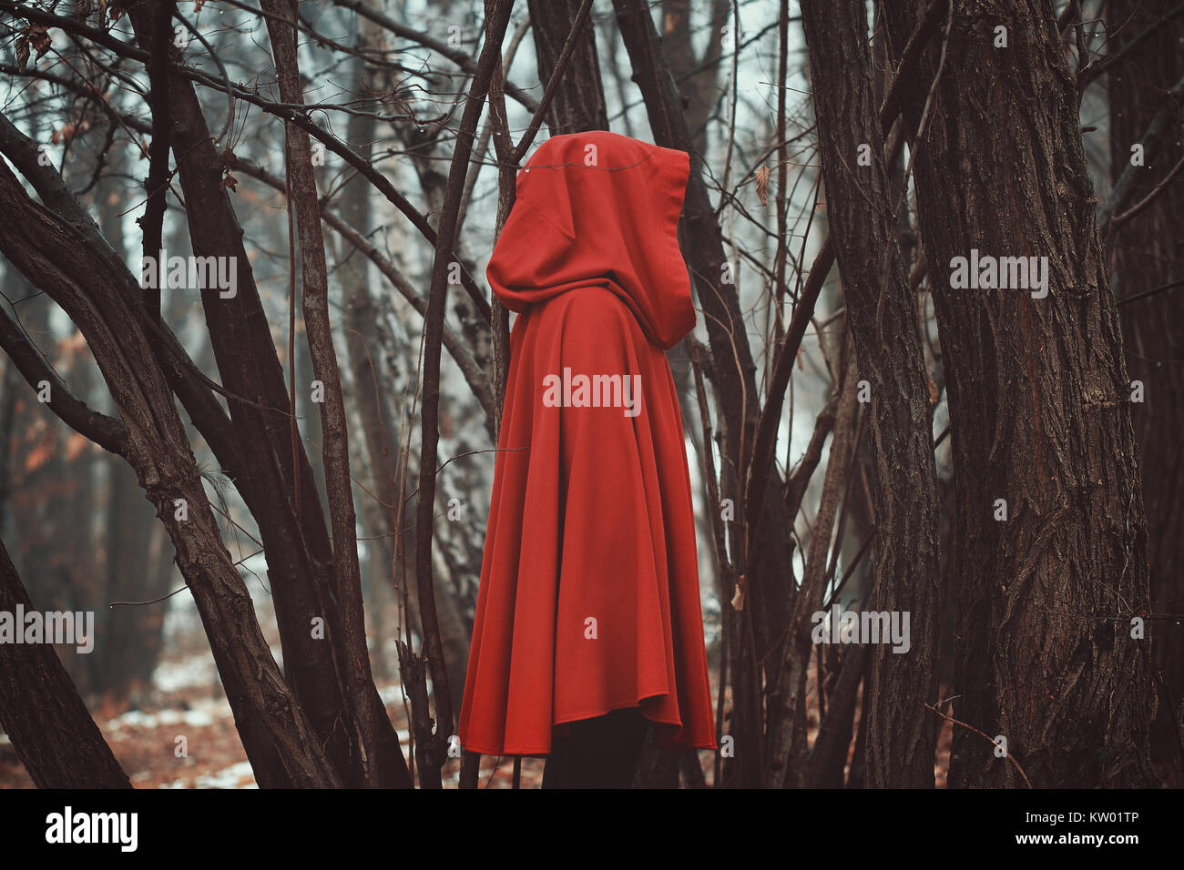 Mysterious hooded figure in misty forest Stock Photo - Alamy