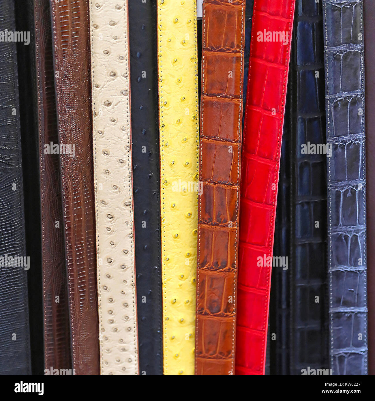 Selection of various colorful leather belts Stock Photo - Alamy