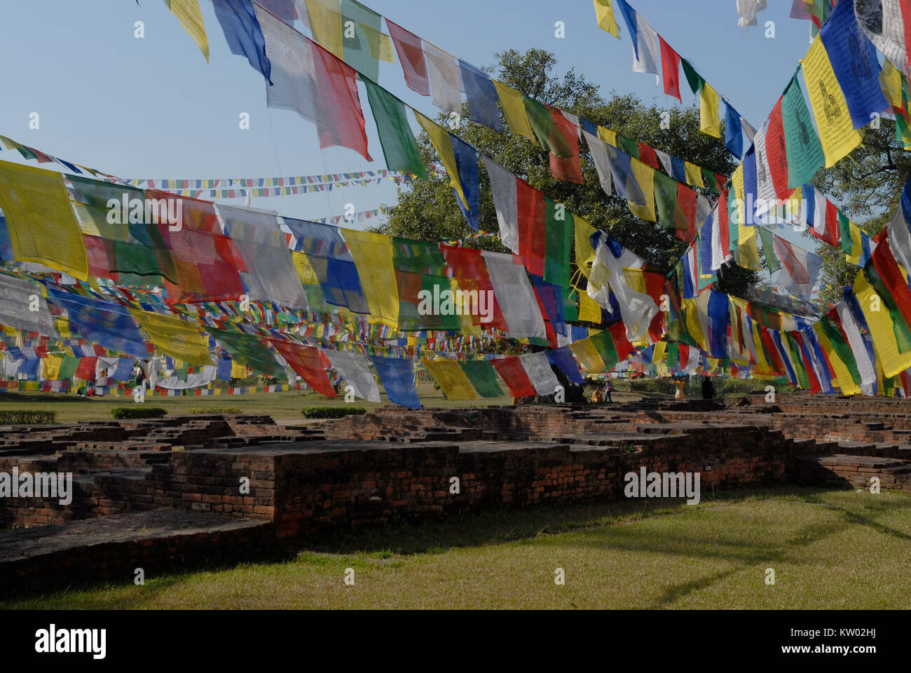 Multicolored bright Buddhist prayer flags hang on ropes in rows in the ...