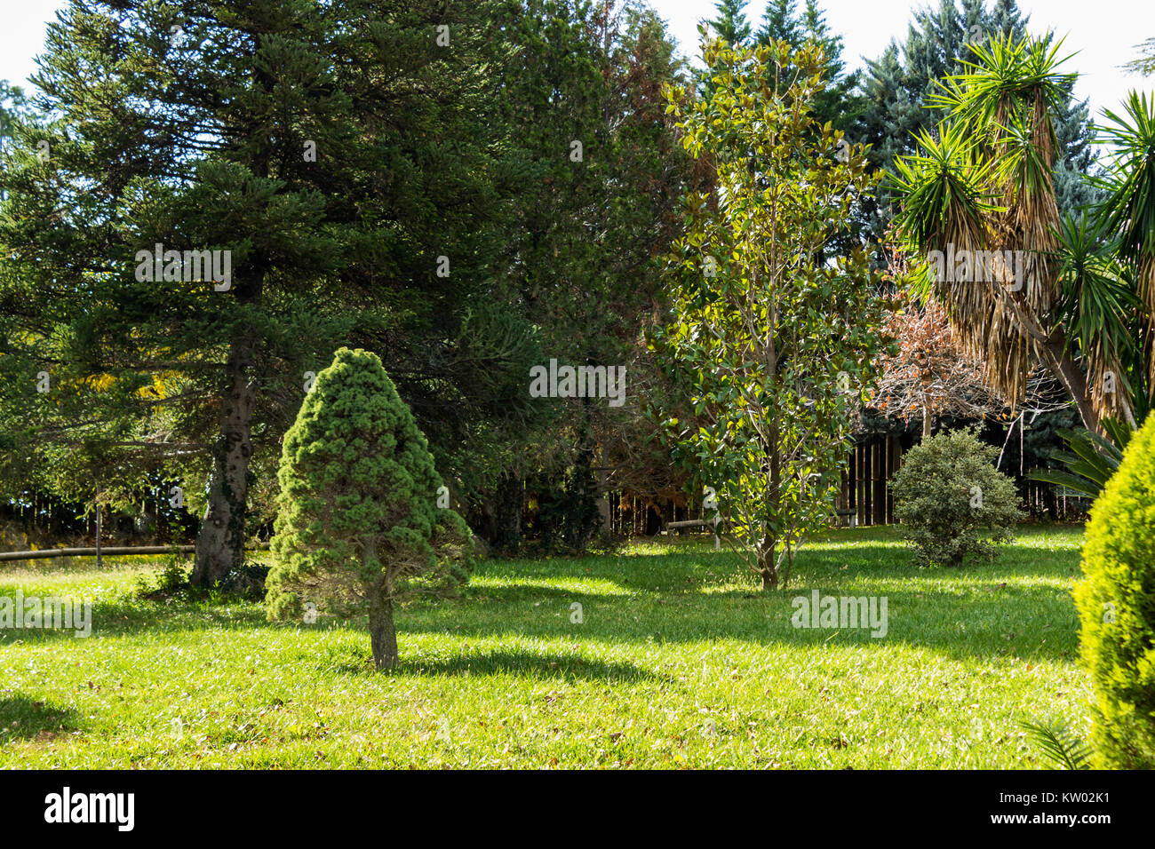 Garden with trees and green grass Stock Photo - Alamy