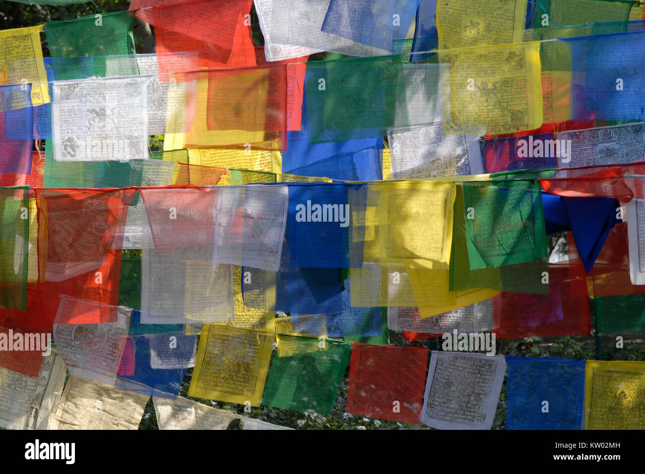 Buddhist prayer flags with texts in Sanskrit are bright red, blue ...