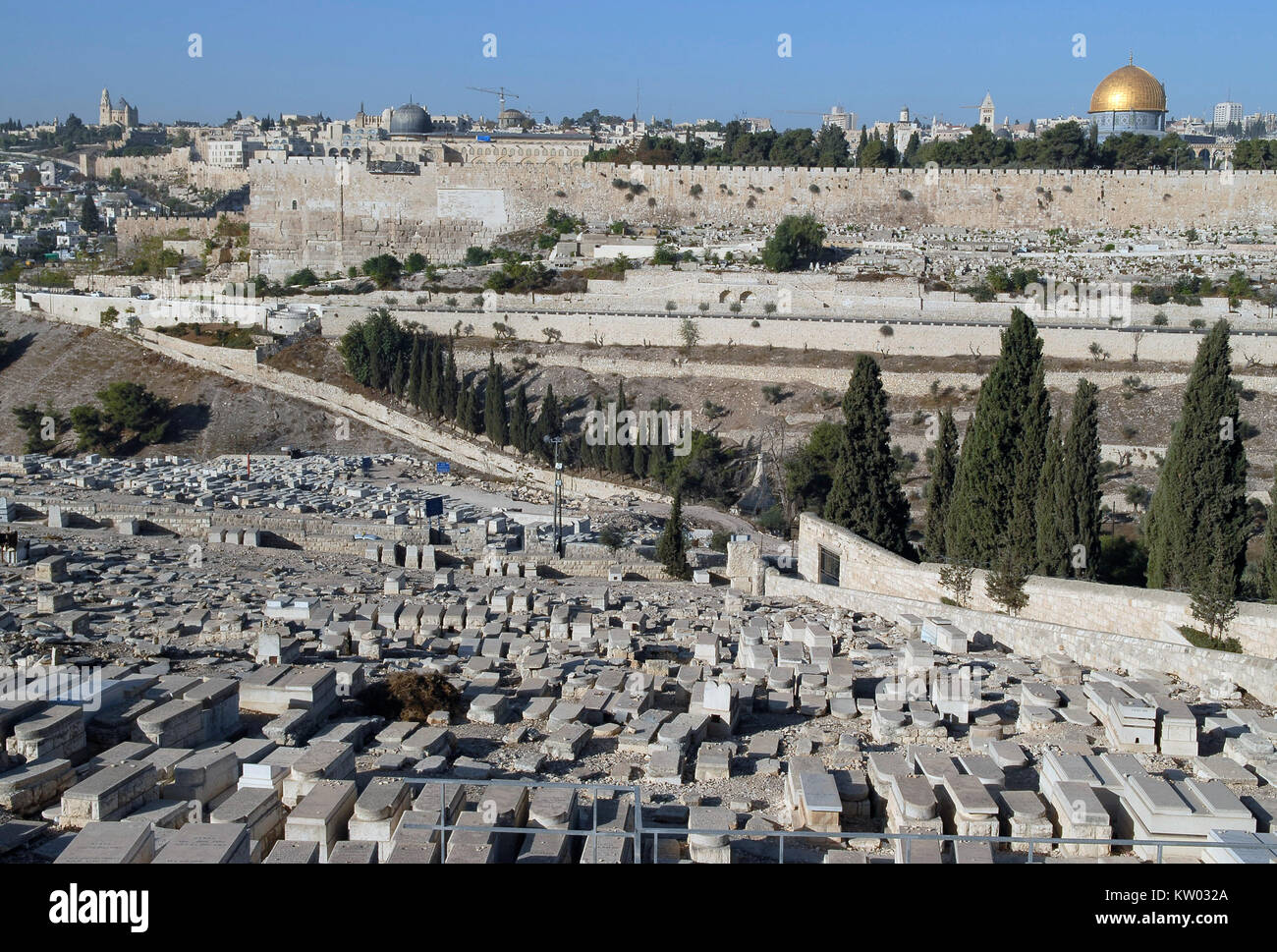 View of Jerusalem, a landscape photo of the old city, in front of trees ...