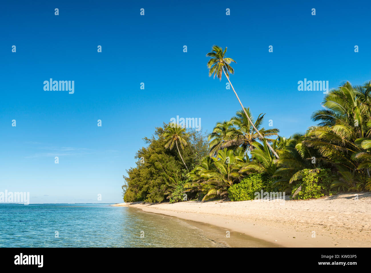 Beach with palm trees, Cook Islands Stock Photo - Alamy