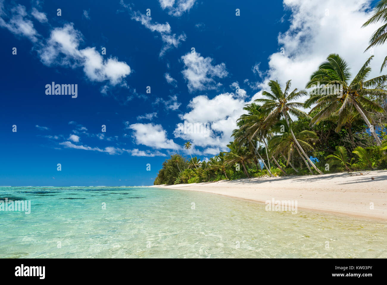 Beach with palm trees, Cook Islands Stock Photo - Alamy