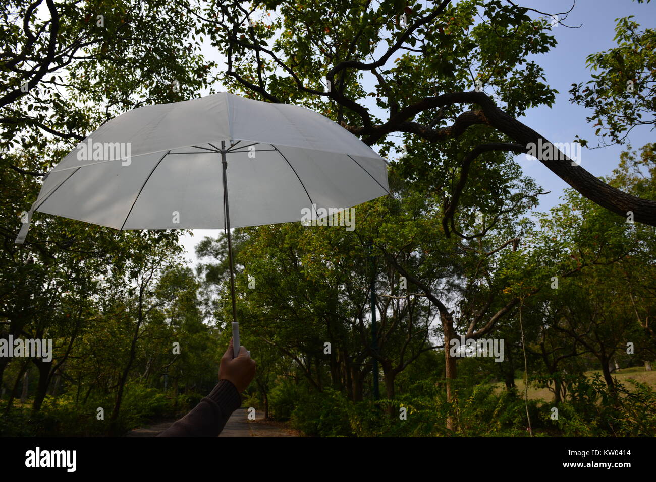 Love everything, life is everything Stock Photo - Alamy