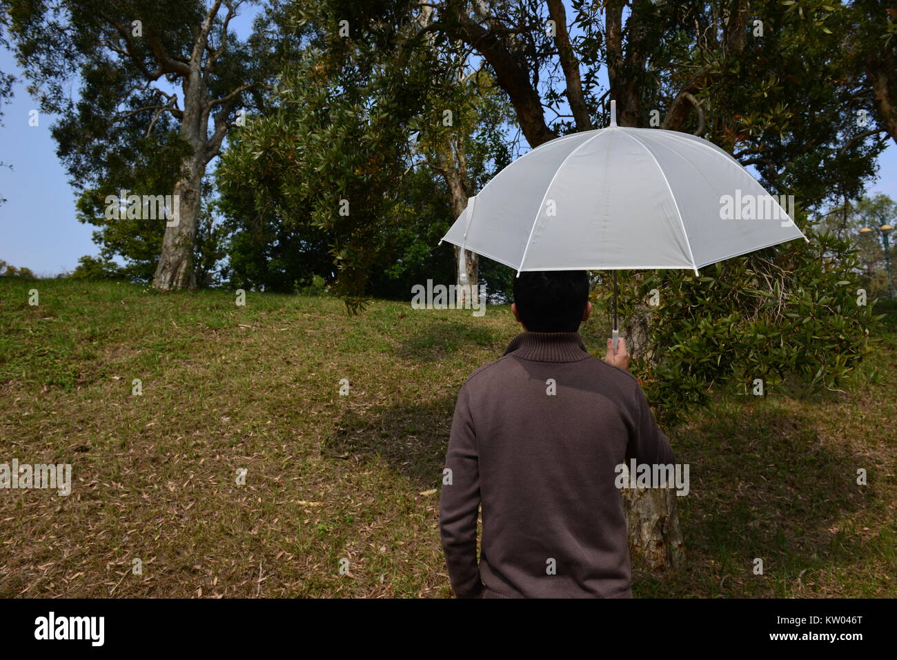 Love everything, life is everything Stock Photo - Alamy