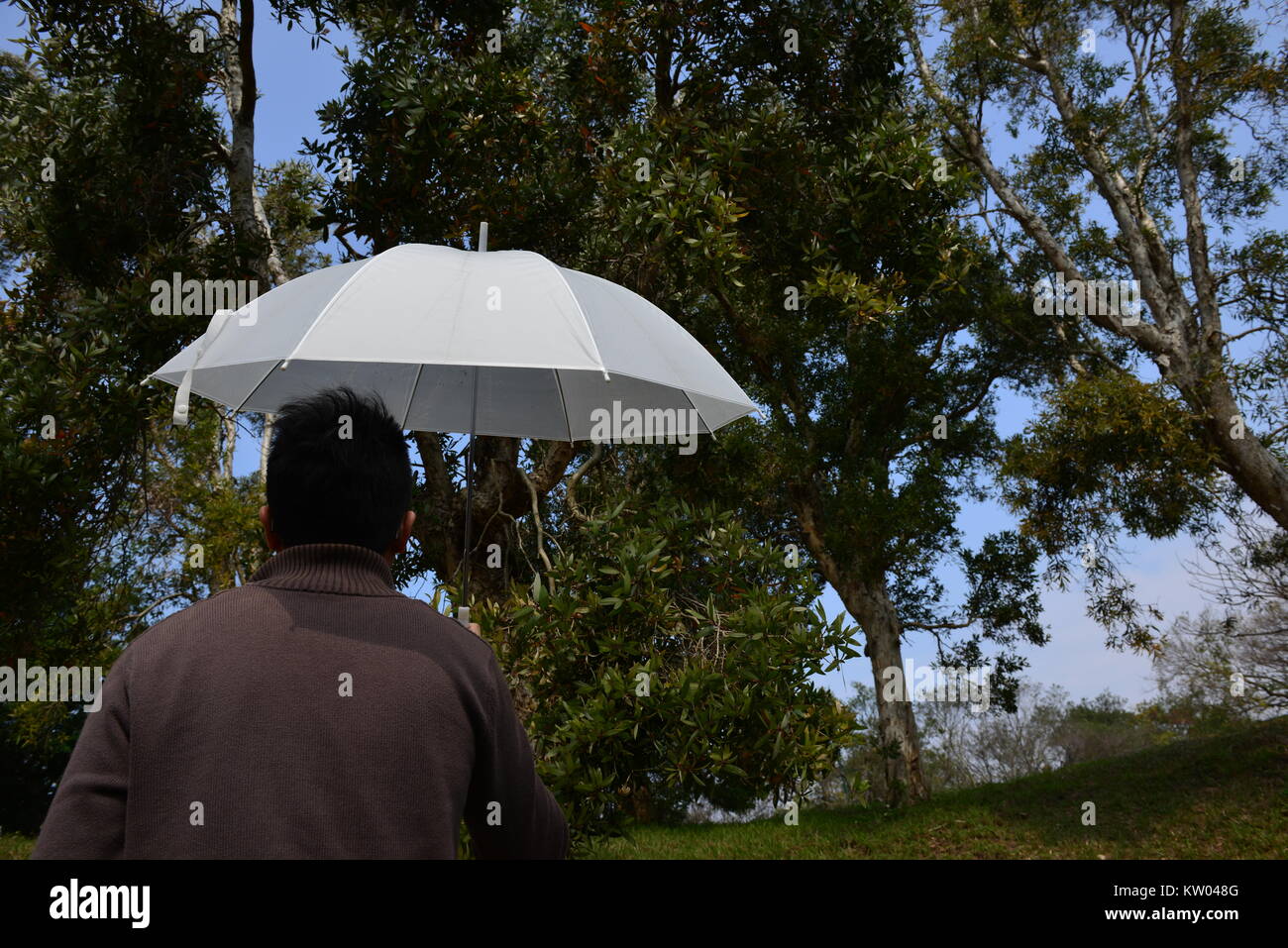 Love everything, life is everything Stock Photo - Alamy