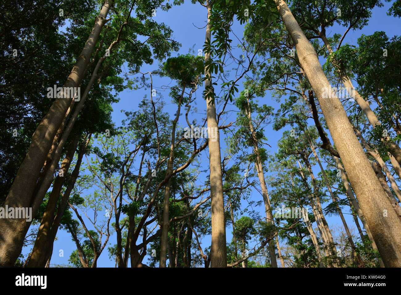 Love everything, life is everything Stock Photo - Alamy