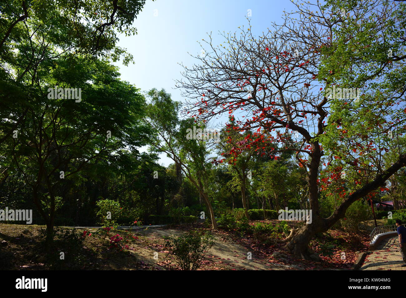 Love everything, life is everything Stock Photo - Alamy