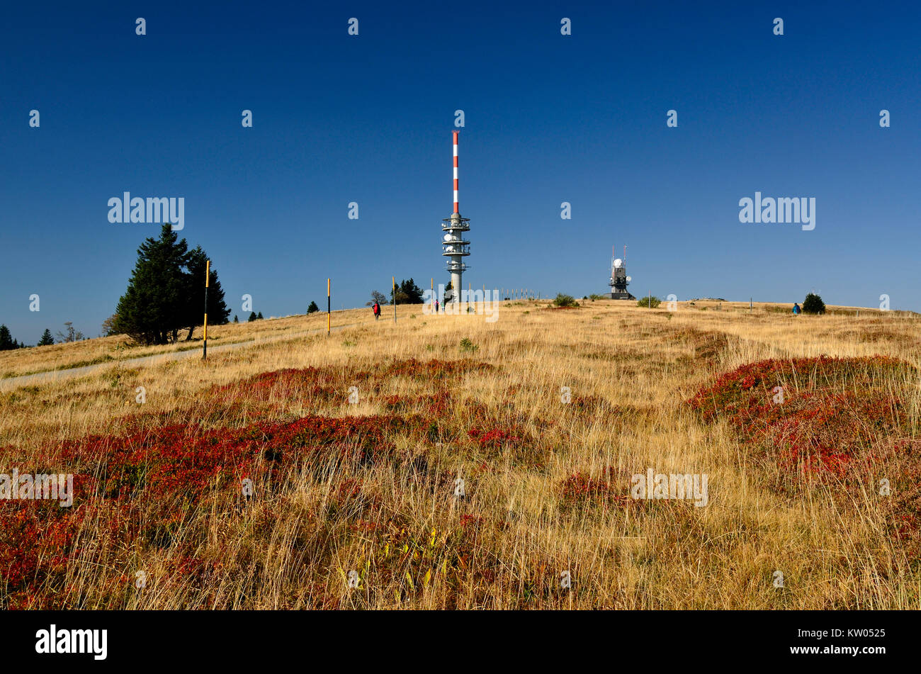 Black Forest, field mountain summit plateau, Schwarzwald, Feldberg ...